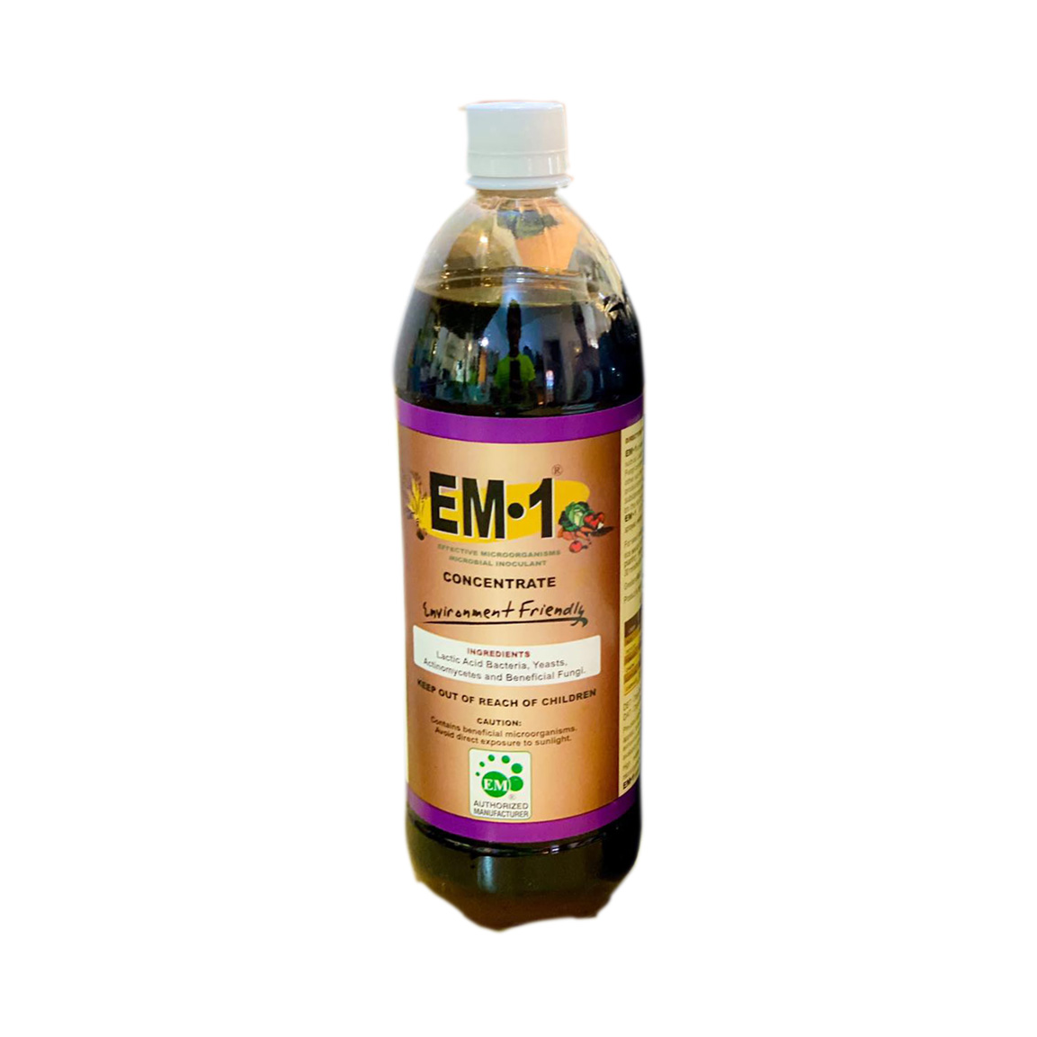 EM・1 | Philippines | EM Research Organization (EMRO)