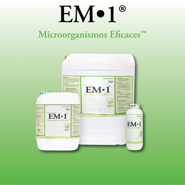 EM・1 | Bolivia | EM Research Organization (EMRO)