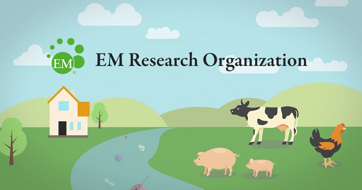 The EM Mudballs Movement 2022 | EM Research Organization (EMRO)